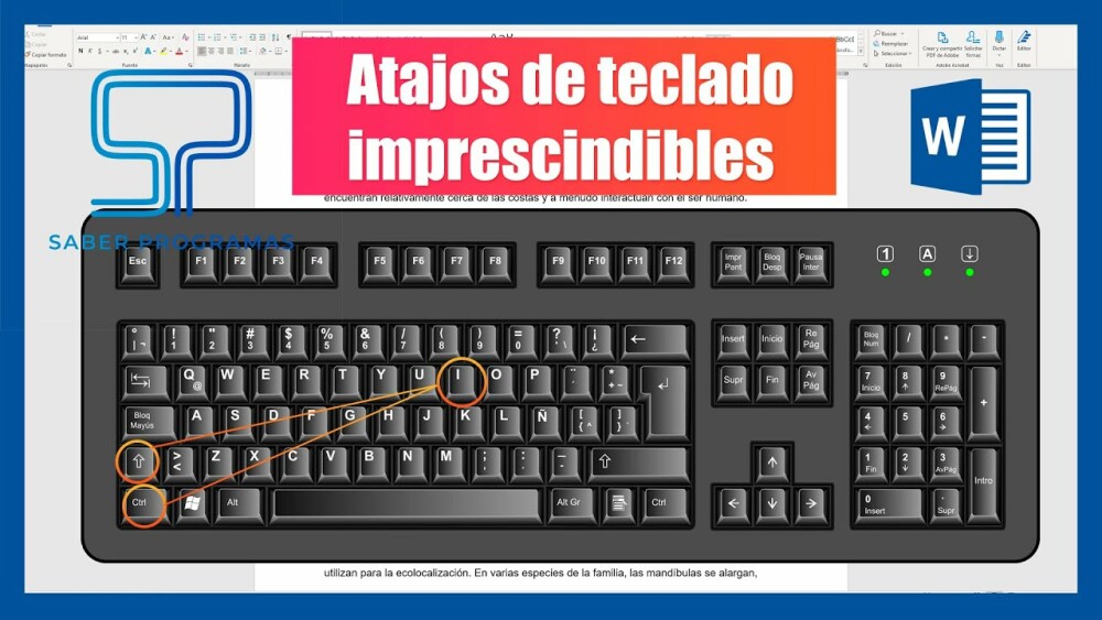 EVALUACIÓN. Ficha interactiva | TopWorksheets