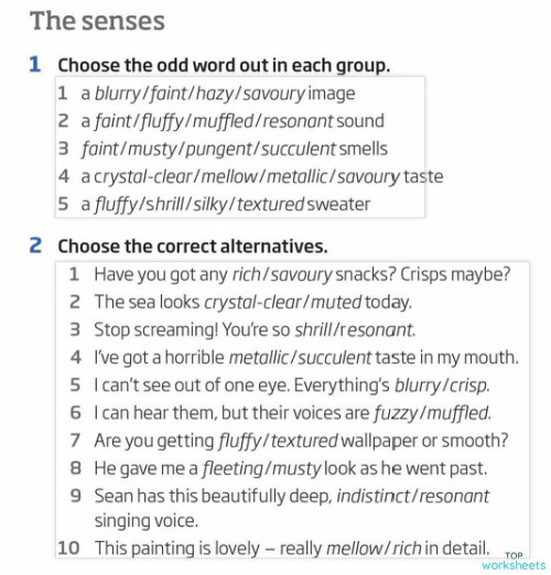 Senses vocabulary. Interactive worksheet | TopWorksheets