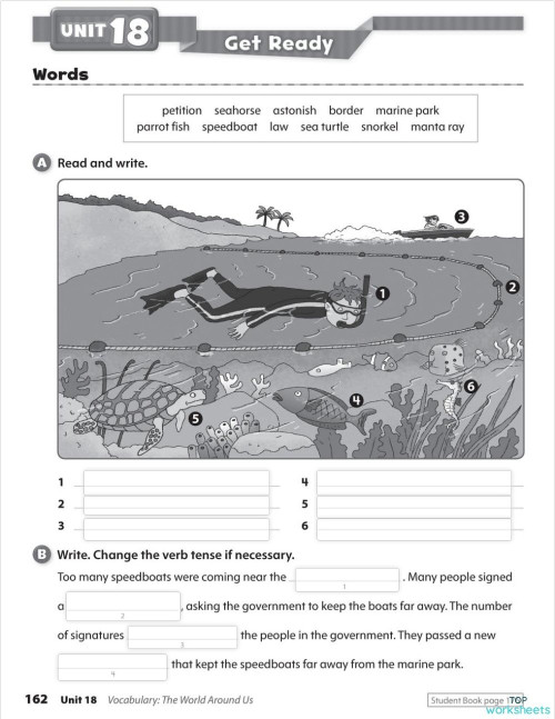 OD4 18 WB 162 163 Words. Interactive worksheet | TopWorksheets