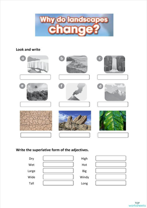 Vocabulary unit 2. Interactive worksheet | TopWorksheets
