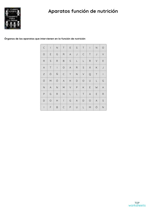 Aparatos función de nutrición. Ficha interactiva | TopWorksheets