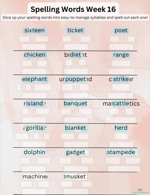 Spelling: interactive worksheets and online exercises | TopWorksheets