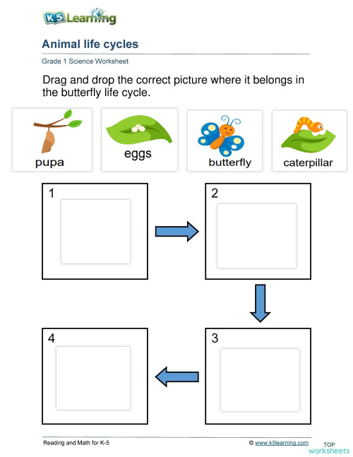 Elementary Science 1. Interactive worksheet | TopWorksheets