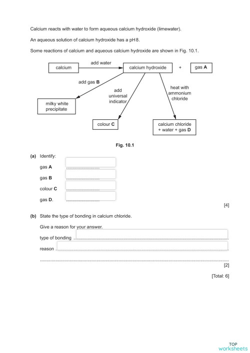 Revision 4. Interactive worksheet | TopWorksheets