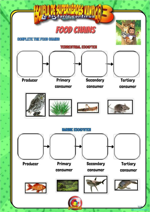 FOOD CHAINS 1. Ficha interactiva | TopWorksheets
