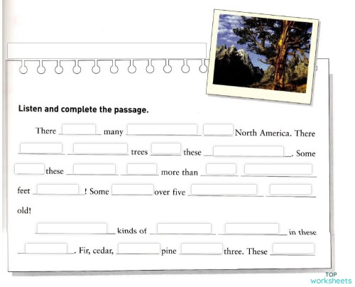 This is a desk. Interactive worksheet | TopWorksheets