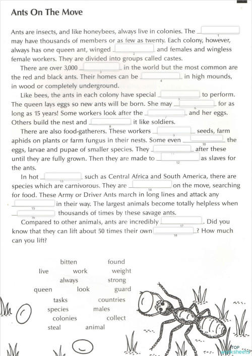2. Ants on the Move Cloze. Interactive worksheet | TopWorksheets