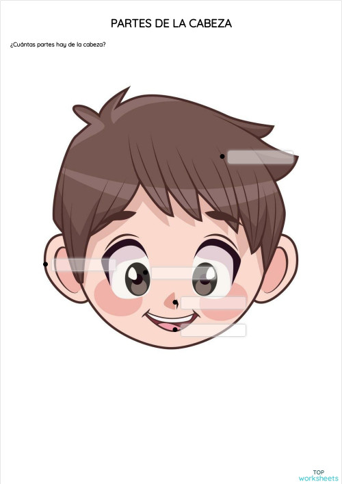 Partes Del Cuerpo Humano Ficha Interactiva Topworksheets