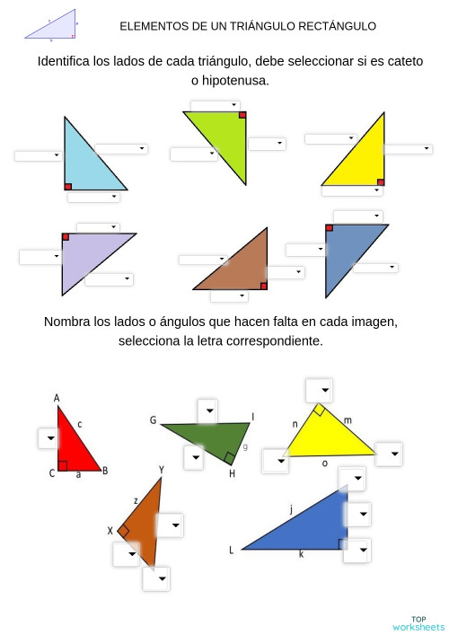 TRIÁNGULOS RECTÁNGULOS. Ficha interactiva | TopWorksheets
