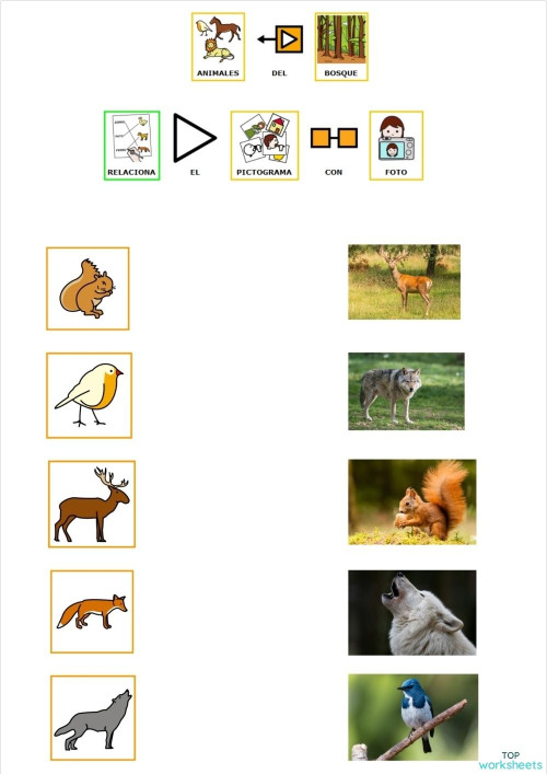 Los animales vertebrados. Ficha interactiva | TopWorksheets