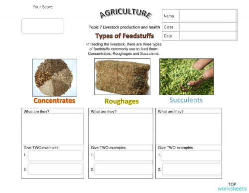 Topic 7 - Types of Livestock Feedstuffs. Interactive worksheet ...