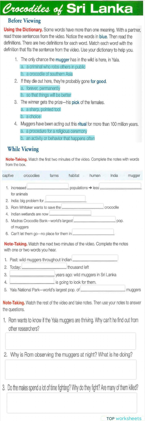 Other: interactive worksheets and online exercises | TopWorksheets