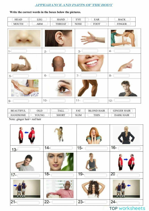 Physical description 1. Interactive worksheet | TopWorksheets