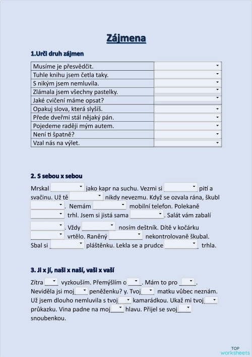 Čeština: interaktivní pracovní listy a online cvičení | TopWorksheets