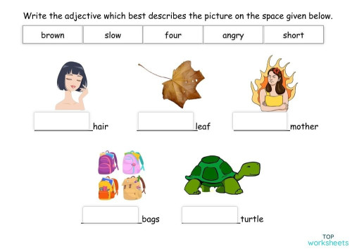 Match the best adjective. Interactive worksheet | TopWorksheets