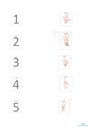 contar con los dedos. Ficha interactiva | TopWorksheets