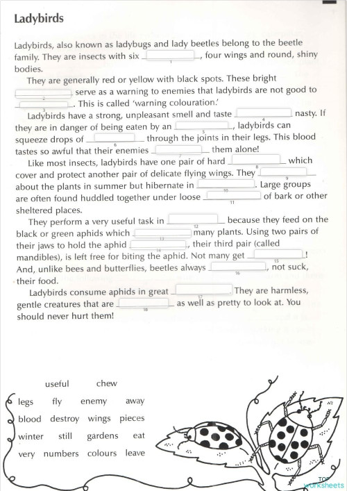 4. Ladybirds Cloze. Interactive worksheet | TopWorksheets