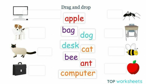 Picture vocabulary A, B, C, D - drag and drop ex.. Interactive ...