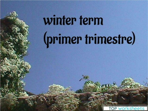 Separator - 1st term. Interactive worksheet | TopWorksheets