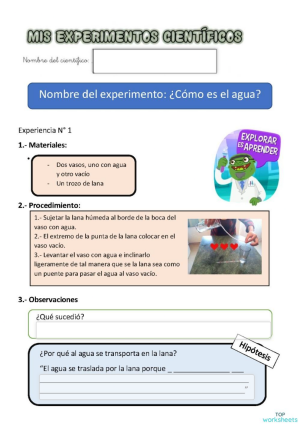 ¿Cómo es el agua? Propiedades del agua. Ficha interactiva | TopWorksheets