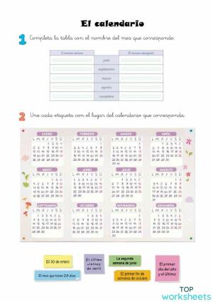 Estudio del calendario y sus componentes. Ficha interactiva | TopWorksheets