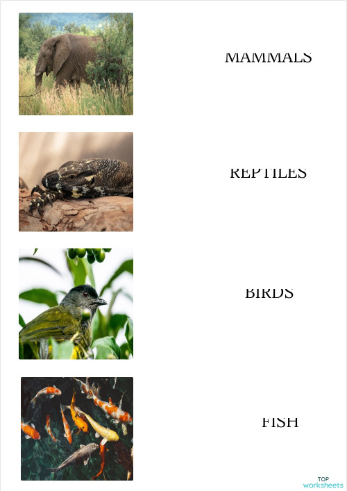 ANIMALS JOIN. Interactive worksheet | TopWorksheets