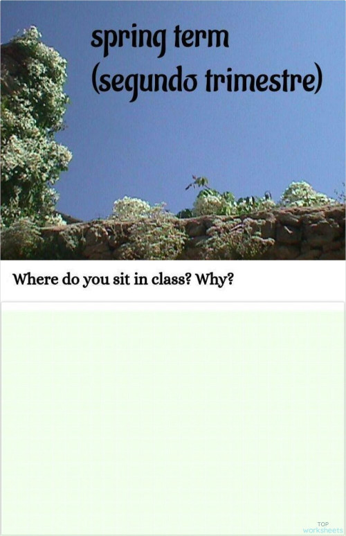 Separator 2nd term - writing. Interactive worksheet | TopWorksheets