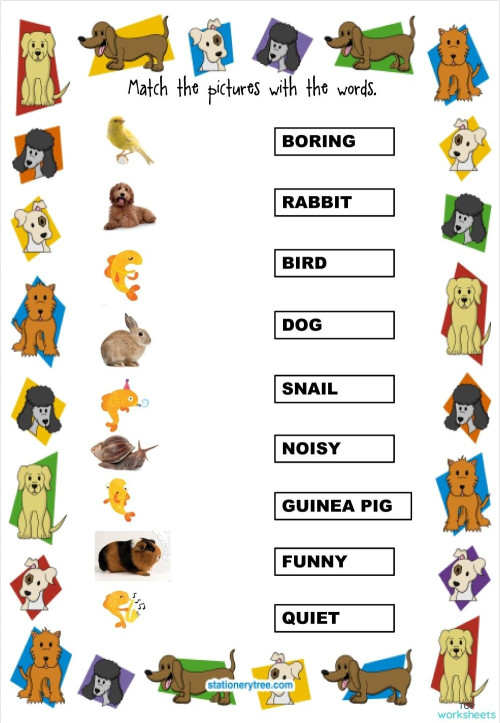 TOPIC 3: PETS. Interactive worksheet | TopWorksheets