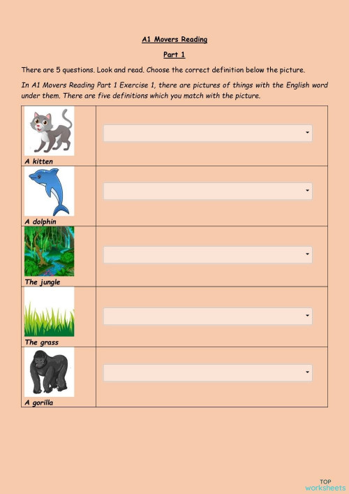 Movers Practice test. Interactive worksheet | TopWorksheets