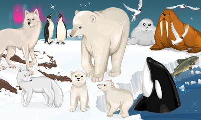 ¡Animales del Polo Norte!. Ficha interactiva | TopWorksheets