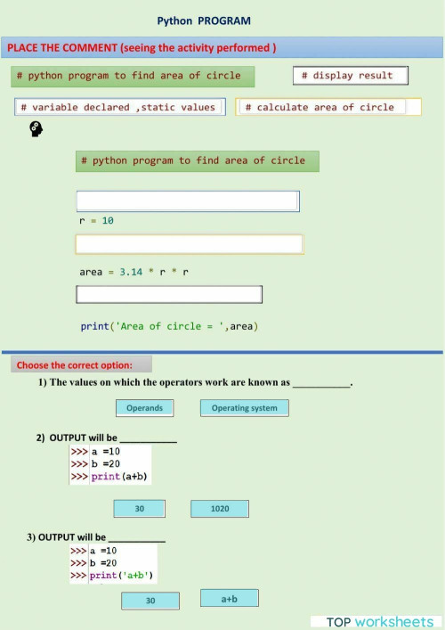 Python1 Interactive Worksheet Topworksheets 