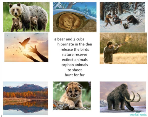 bear hunt reading. Interactive worksheet | TopWorksheets