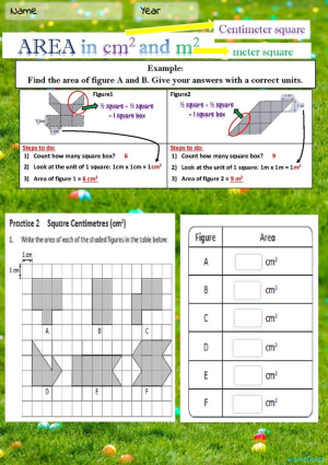 Area in centimeter and meter square. Interactive worksheet | TopWorksheets