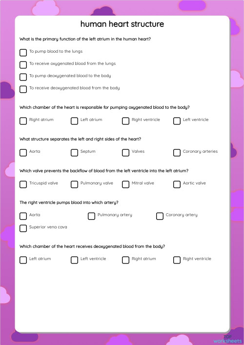 human heart structure. Interactive worksheet | TopWorksheets