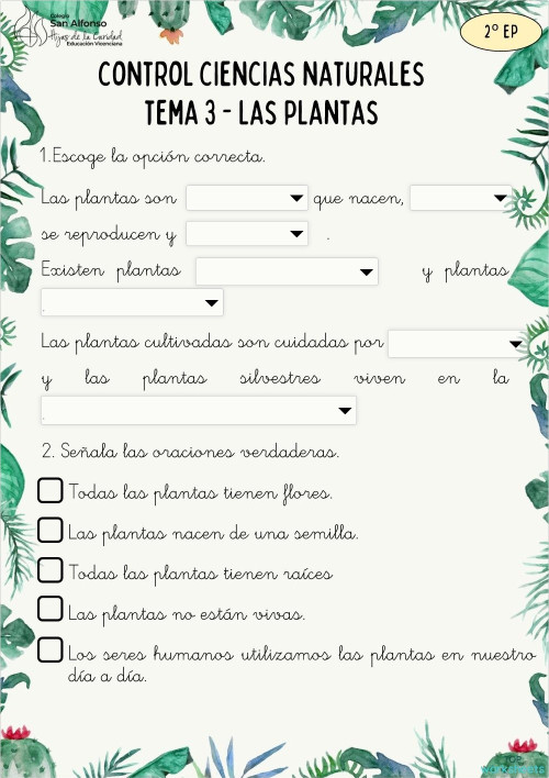 PARTES DE UNA PLANTA. Ficha interactiva | TopWorksheets