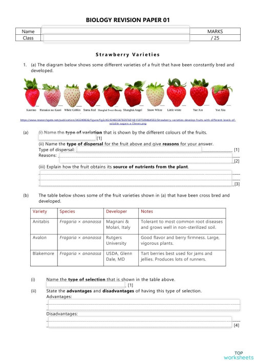 Module 5: Cell Modification. Interactive worksheet | TopWorksheets