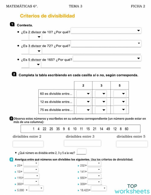 Fichas interactivas y ejercicios online en España | TopWorksheets