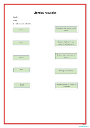La reproducción de las plantas . Ficha interactiva | TopWorksheets