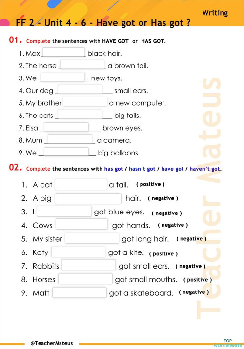 FF 2 - Unit 04 - 6 - Have got or Has got - Writing. Interactive ...