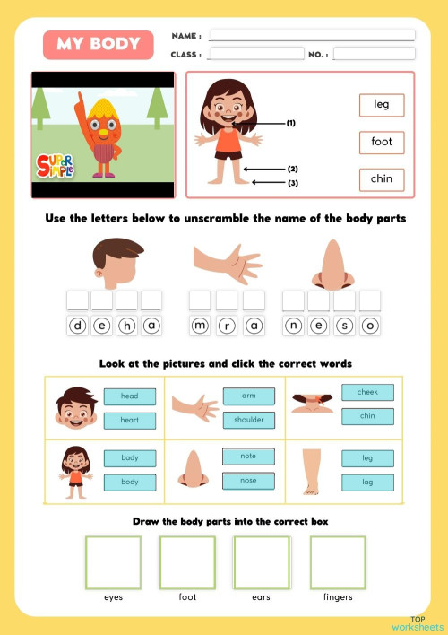 My Body Worksheet ใบงานเชิงโต้ตอบ | TopWorksheets