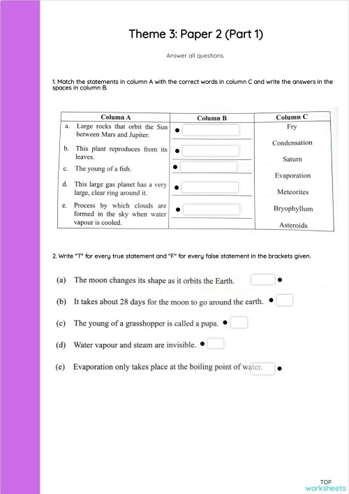 Theme 3: Paper 2 (Part 1). Interactive worksheet | TopWorksheets