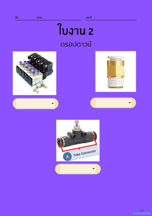 ใบงานที่ 2 Dropdown ใบงานเชิงโต้ตอบ | TopWorksheets
