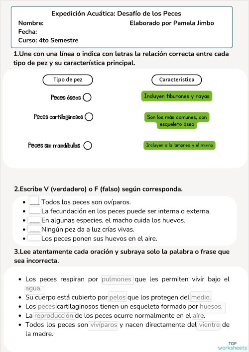 Evaluación Peces. Ficha interactiva | TopWorksheets