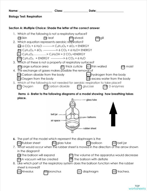 Year 6 Science | PSR 2018 Paper 2 (Section A). Interactive worksheet ...