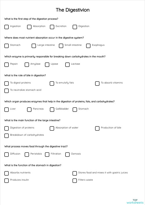 The Digestion. Interactive worksheet | TopWorksheets