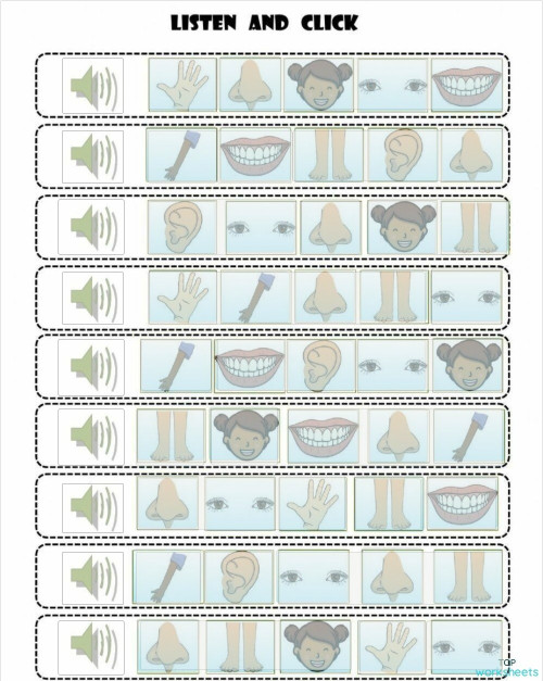 PARTS OF THE BODY-Partes del cuerpo. Interactive worksheet | TopWorksheets