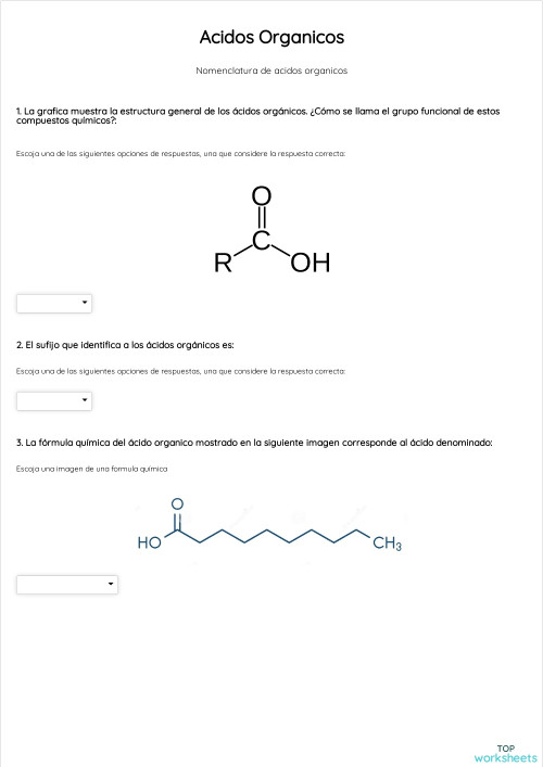 Acidos Organicos. Ficha interactiva | TopWorksheets