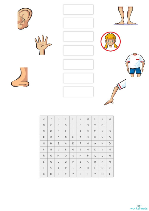 Body Parts. Interactive worksheet | TopWorksheets