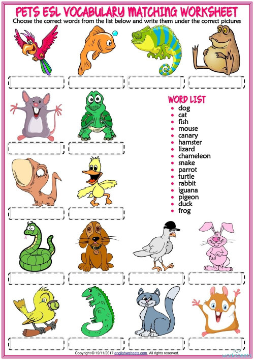 Pets Vocab matching ใบงานเชิงโต้ตอบ | TopWorksheets