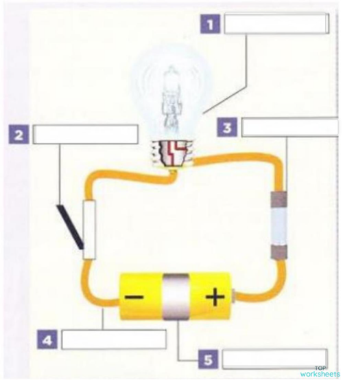Label the pictures. Interactive worksheet | TopWorksheets